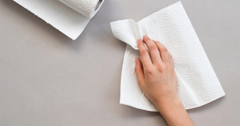 What Is A Paper Towel - Towels Edition